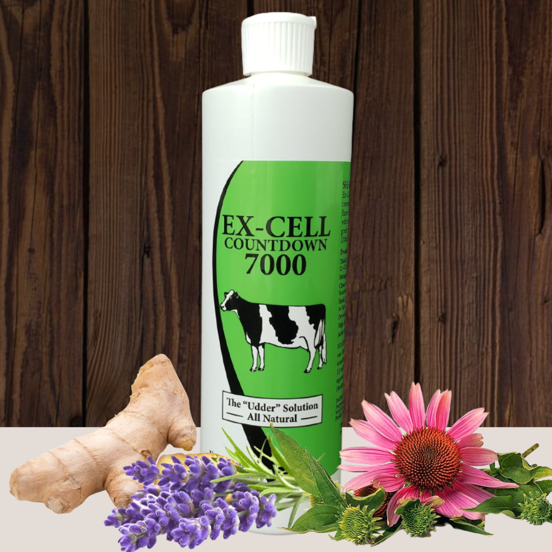 Cow Products – Synergy Animal Products Online Store