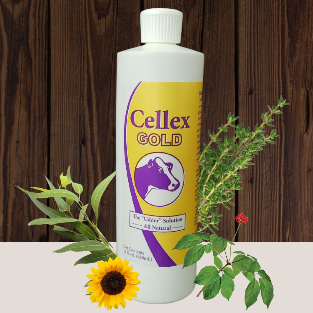 Cellex Gold – Synergy Animal Products Online Store