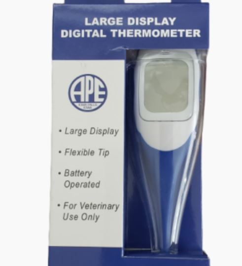 Large Display Digital Thermometer – Synergy Animal Products Online Store